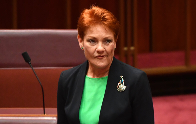Pauline Hanson, One Nation put the junk in junk mail