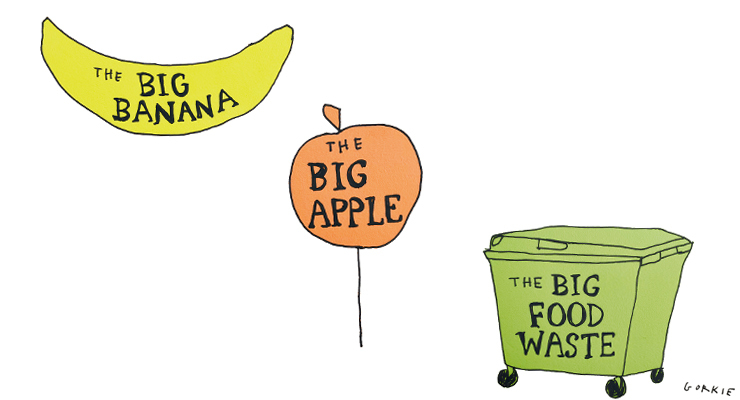 Are checkout donations greenwashing supermarket waste?