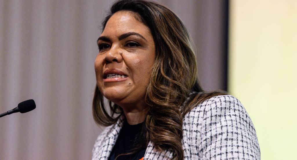 Jacinta Price charges taxpayers $76,500 for business-class flights
