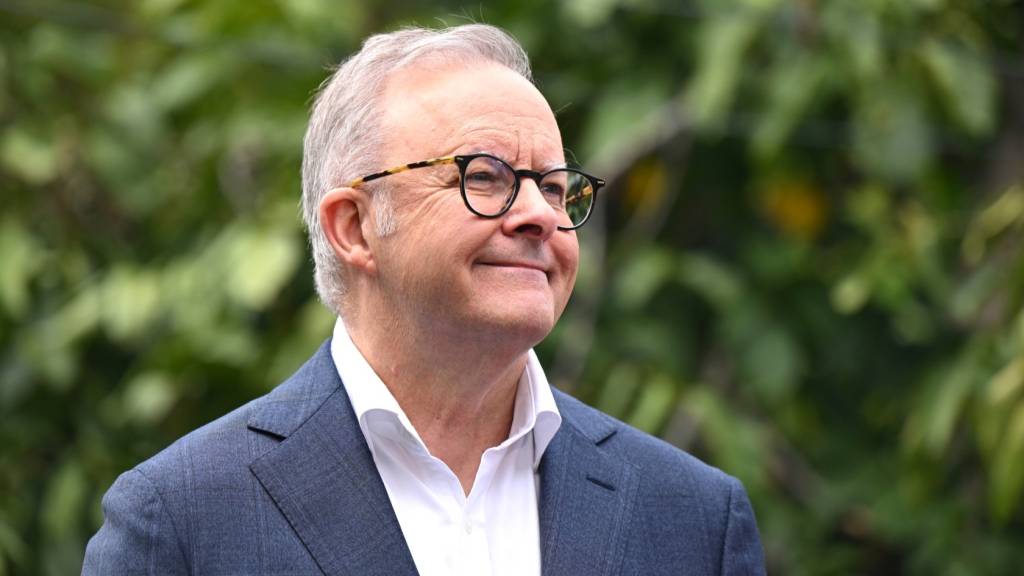 Anthony Albanese and Labor surge ahead in multiple polls