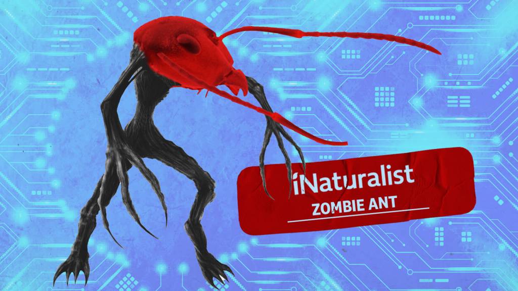 iNaturalist Google deak backlash is a war against big tech and AI