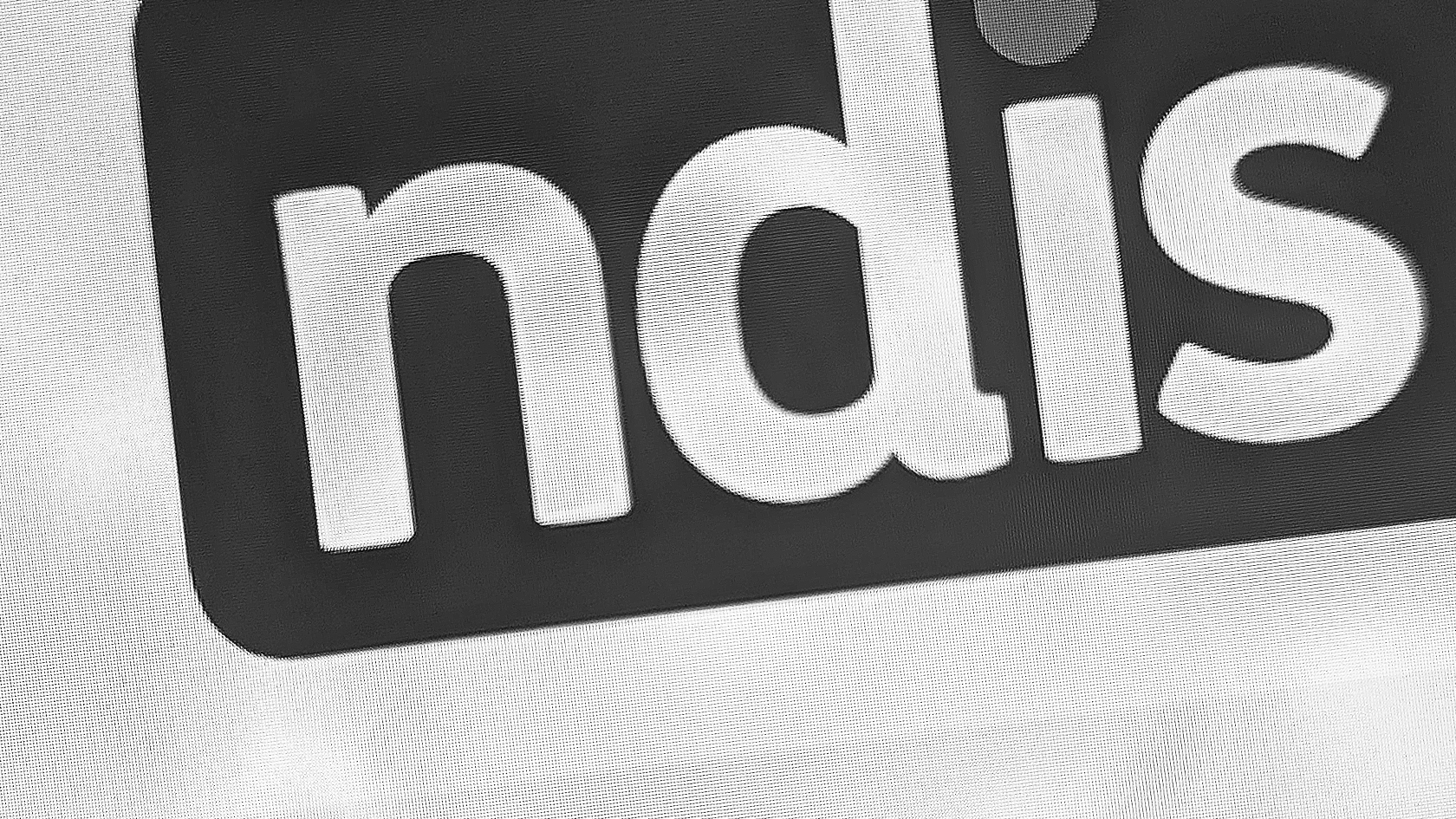 NDIS articles are turning autistic people into the new dole bludgers
