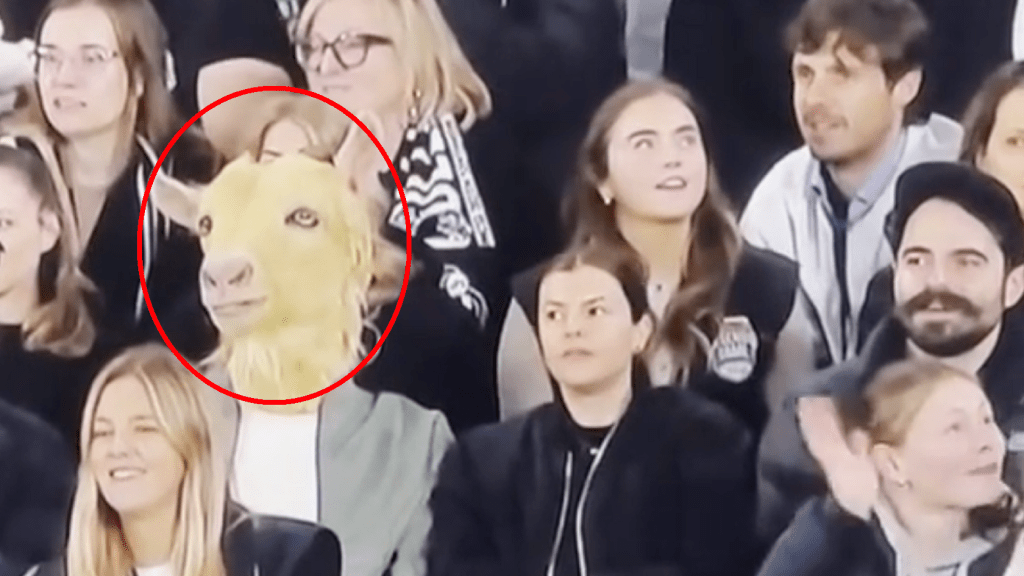 Sports betting company appears to sneak ad into AFL broadcast