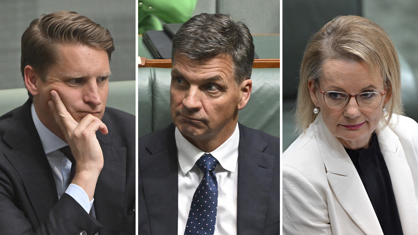 Andrew Hastie needs to step up and supplant Angus Taylor