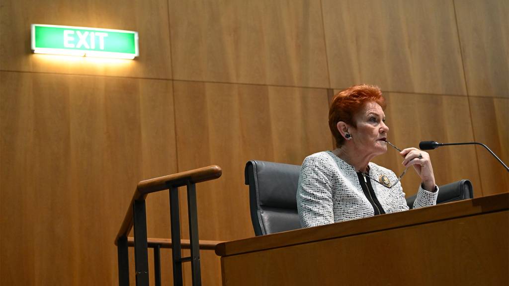 Neoliberalism ate the world. Enter: Pauline Hanson